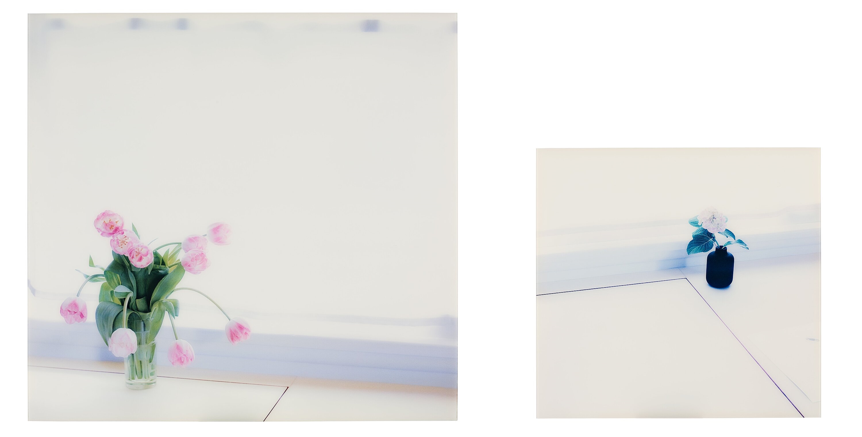 Uta Barth | Untitled 05.14 (2005) | MutualArt