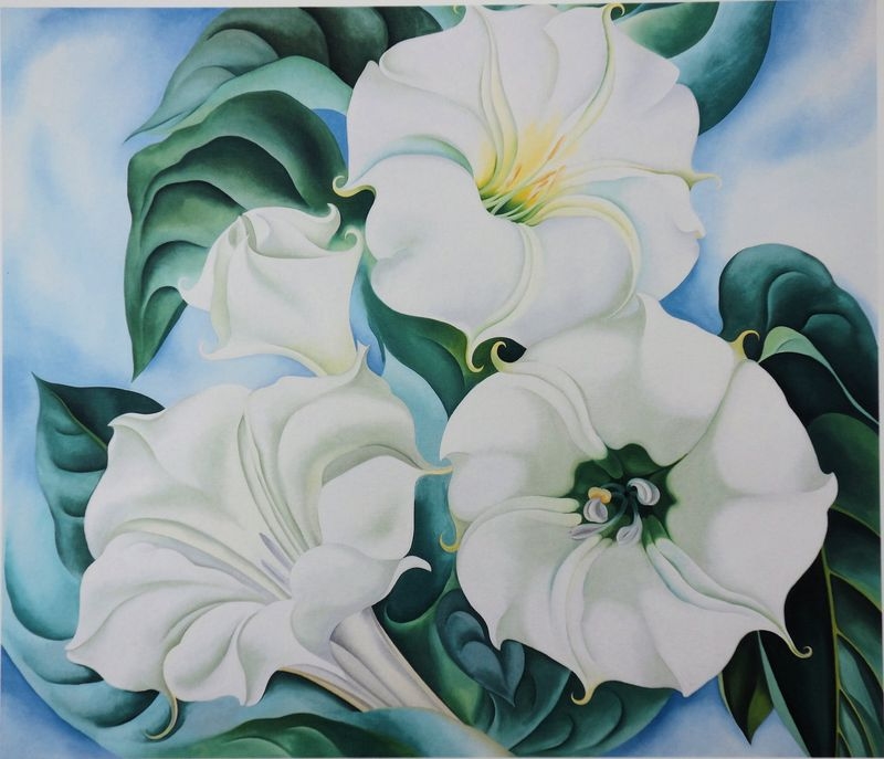 Georgia O'Keeffe | Jimson Weed, White Flower No. 1 | MutualArt