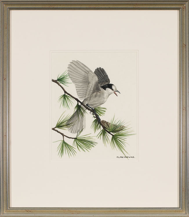 James Fenwick Lansdowne | Wagtail | MutualArt