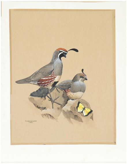 James Fenwick Lansdowne | Quail with butterfly (1956) | MutualArt