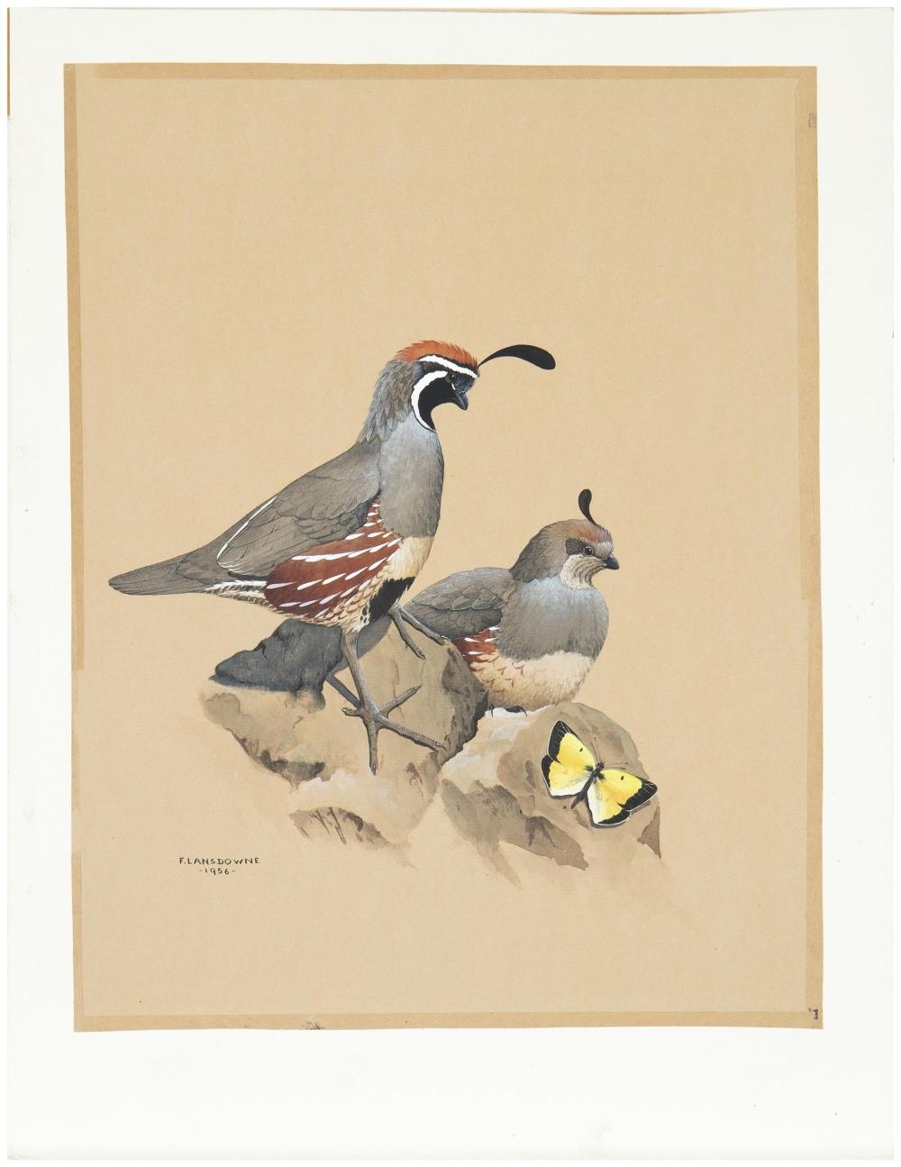 James Fenwick Lansdowne | Head of Goose (1958) | MutualArt