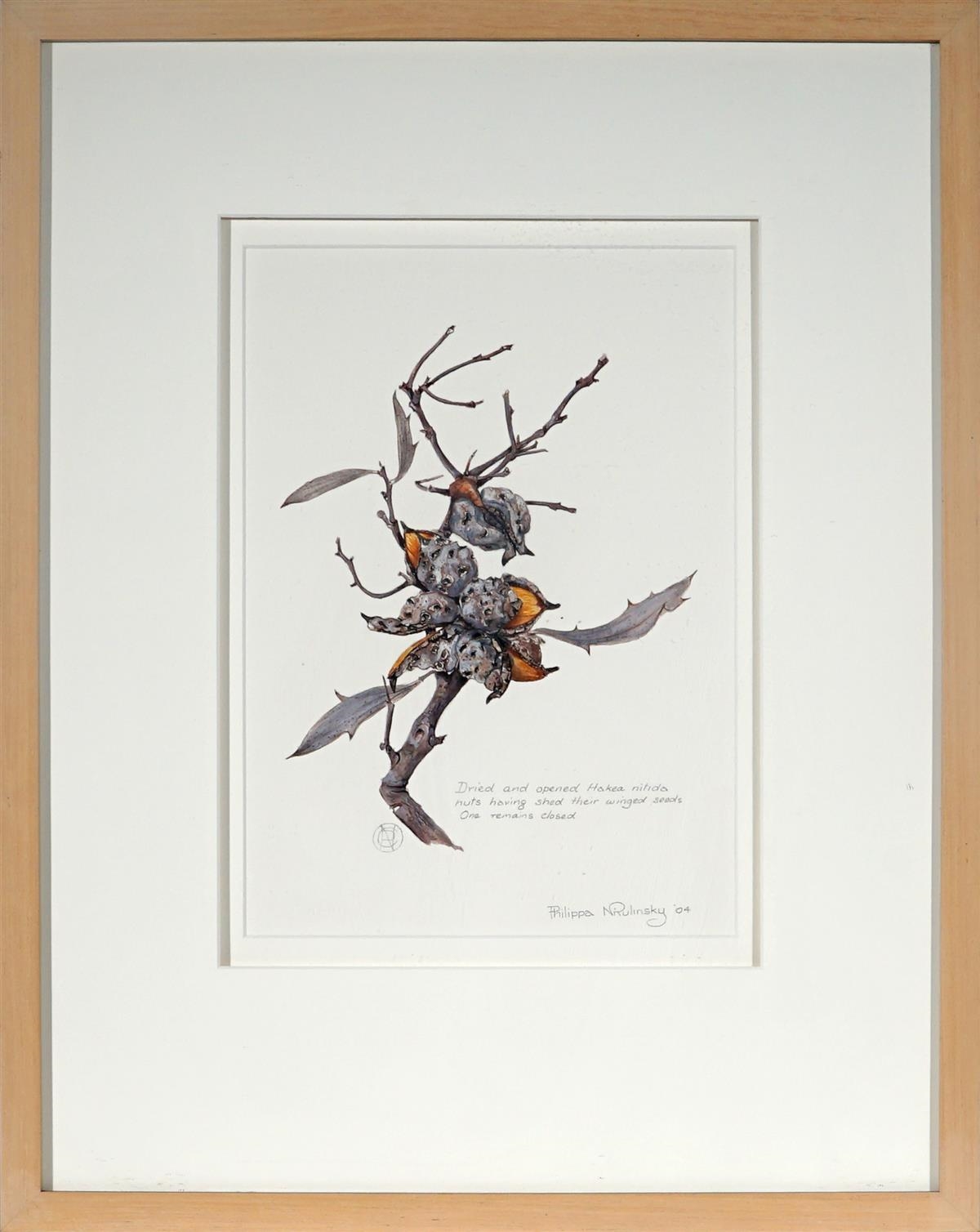 Philippa Nikulinsky | Banksia Littoralis, 2002 & Hakea Nitida (2004 ...