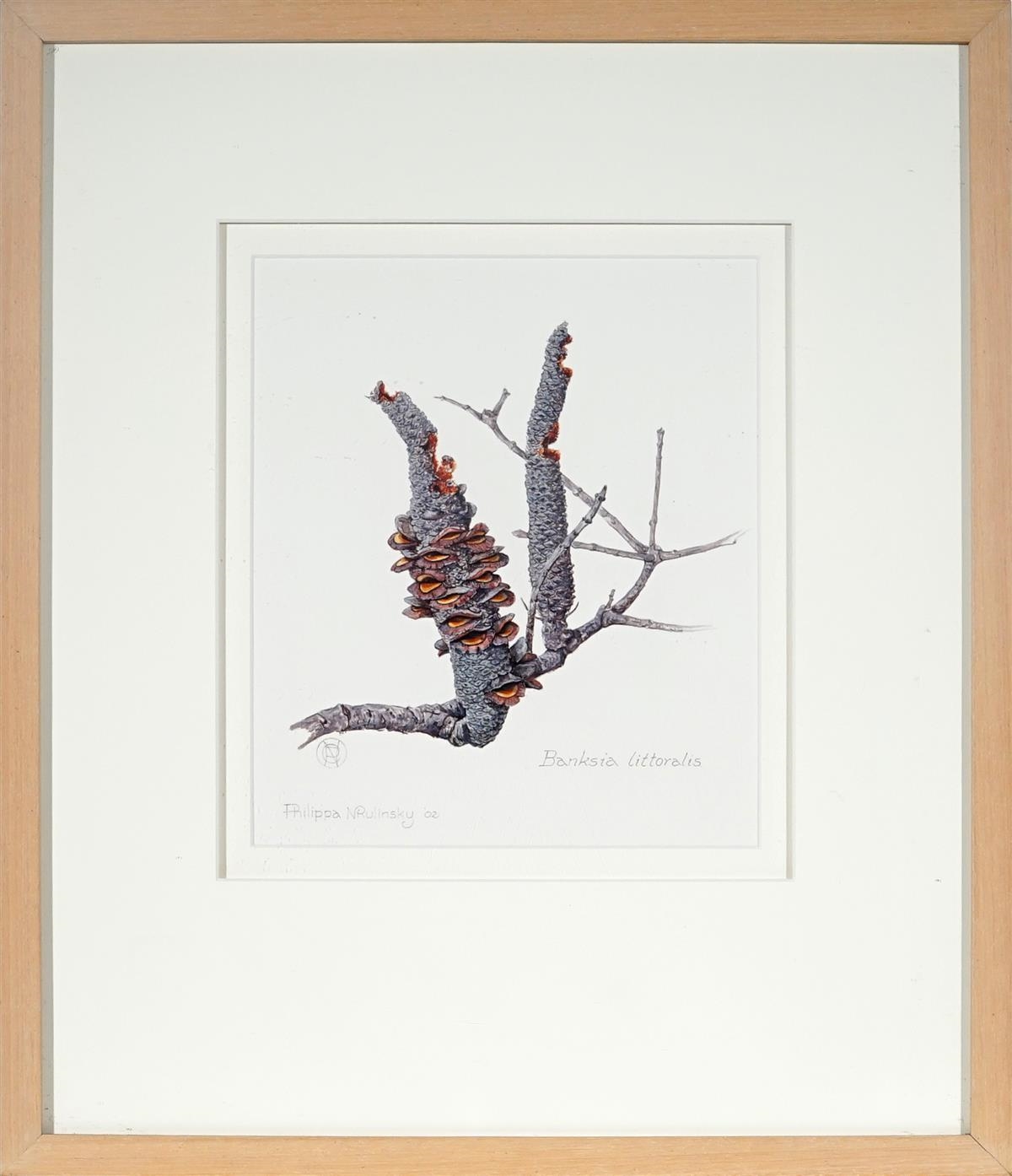 Philippa Nikulinsky | Banksia Littoralis, 2002 & Hakea Nitida (2004 ...