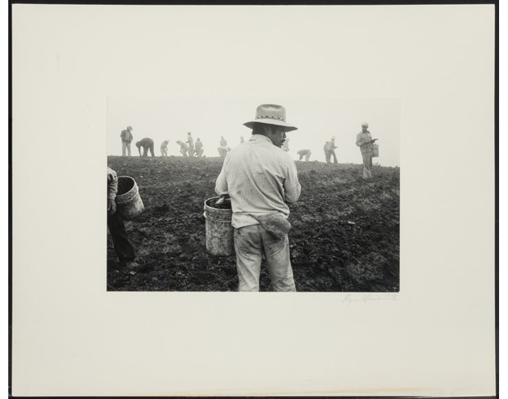 Roger Minick | Two Photographs (1978) | MutualArt