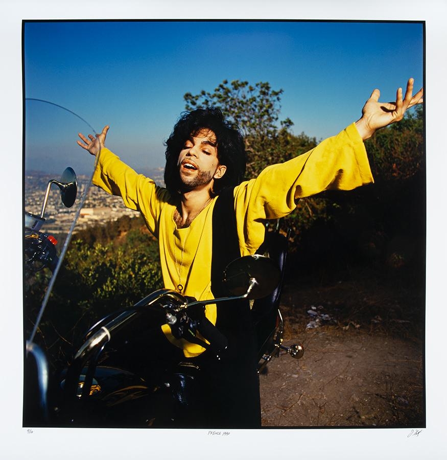 Jeff Katz | PRINCE, Paisley Park, MN (1988) | MutualArt
