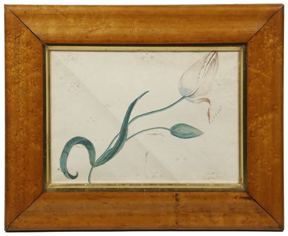 Clara Davis | 1 Artworks at Auction | MutualArt