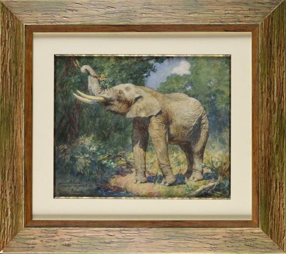 Gustave Surand | Elephant | MutualArt