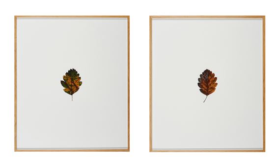 Manfred Holtfrerich | 2 Artworks at Auction | MutualArt
