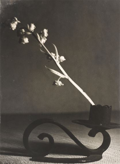 Elizabeth Sax | Biography