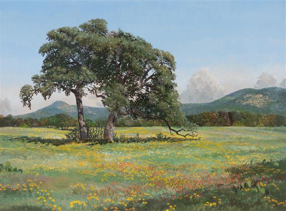 Travis Keese | Hill Country Blooms | MutualArt