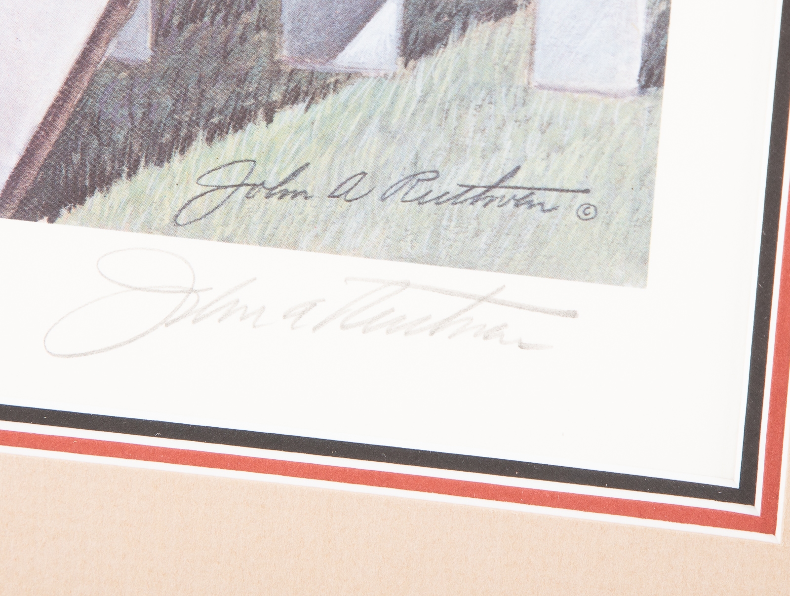John Ruthven | Red-Headed Woodpeckers | MutualArt