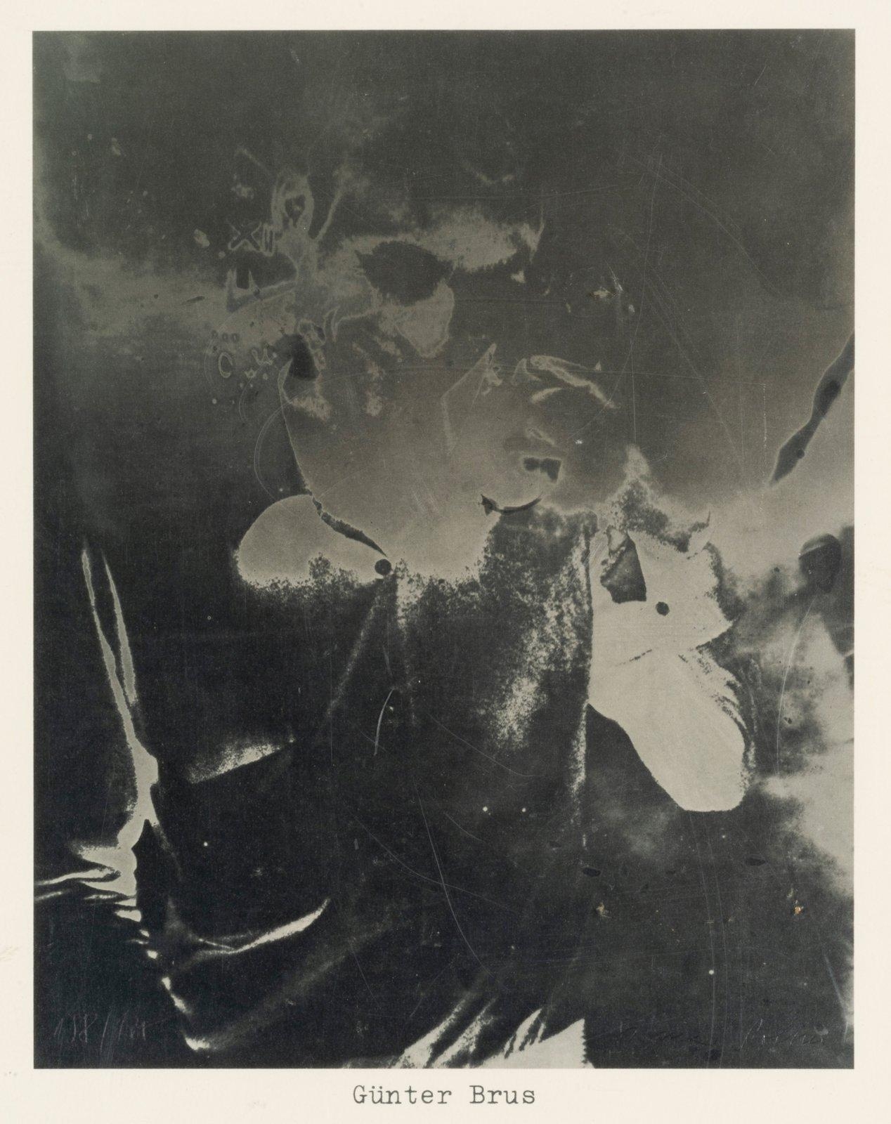 Sigmar Polke | Gunter Brus (1973) | MutualArt