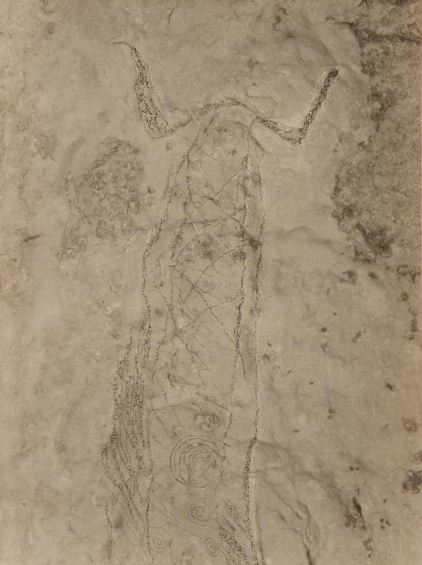 Theo Schoon | Māori Rock Drawing (1946 - 1949) | MutualArt