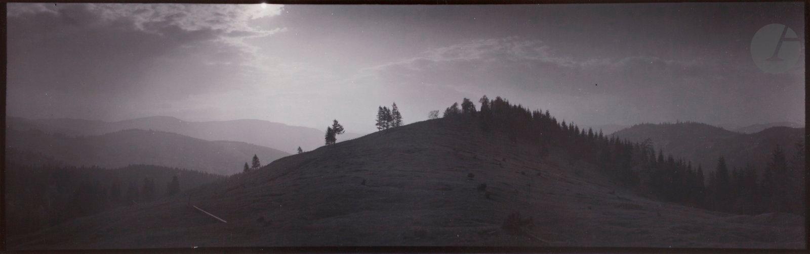 Josef Sudek | Mionsi's forest. Cycle of Missing Sculptures, 1955 (Circa ...