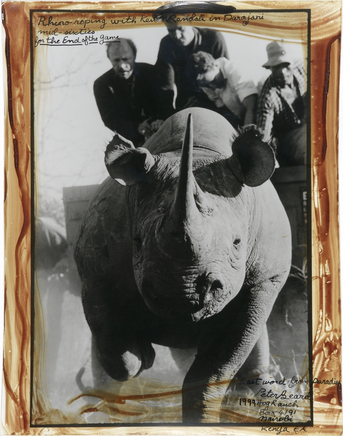 Peter Beard | RHINO ROPING WITH KEN RANDALL IN DARAJANI (1999) | MutualArt