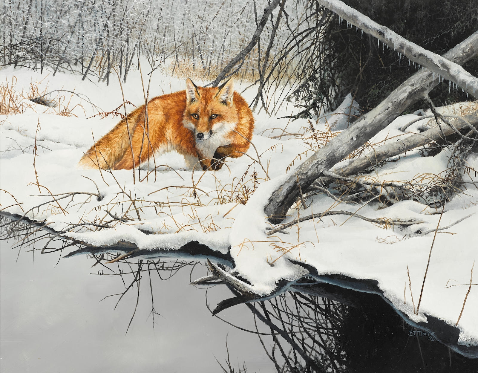 Bonnie Marris Paintings Fox