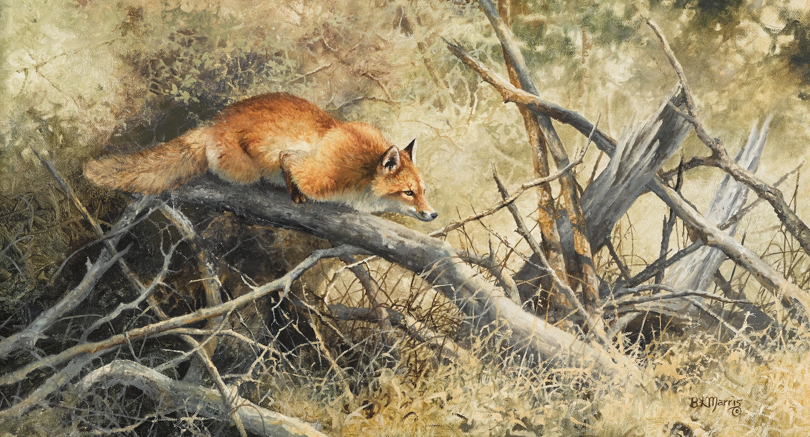 Bonnie Marris | Red Fox | MutualArt