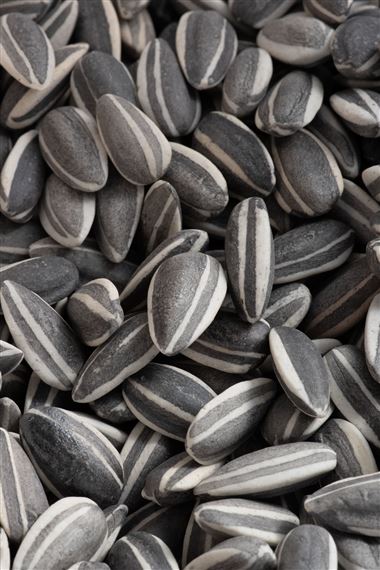 Weiwei Ai | Kui hua zi (Sunflower seeds) | MutualArt
