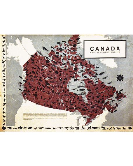 William Masson | Biography