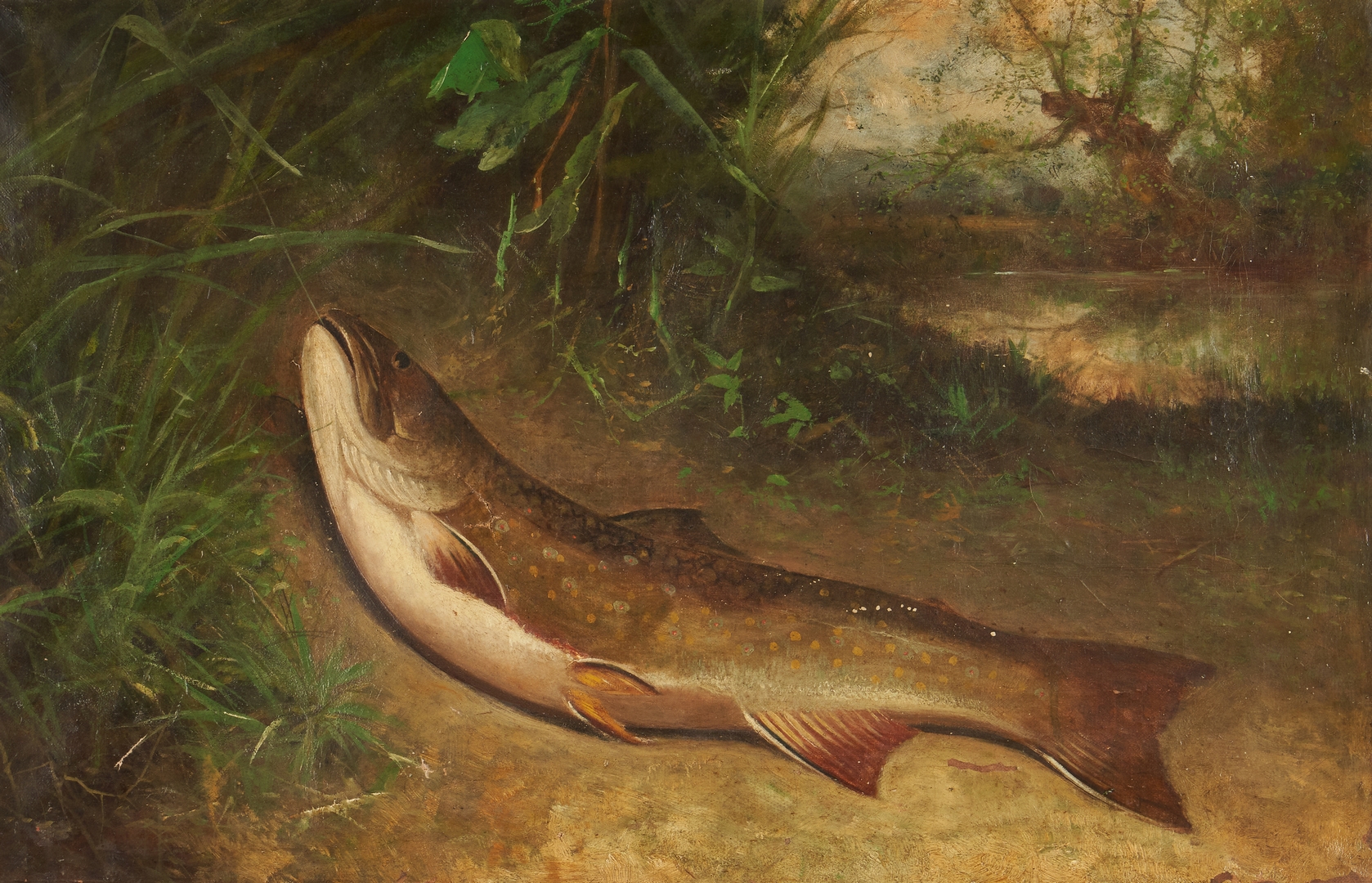 American School, 20th Century | Portrait of a Fish (19th Century 20th ...