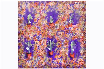 Willy Van Sompel | 15 Artworks at Auction | MutualArt