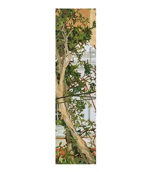 Campbell Cressida | Still Life | MutualArt