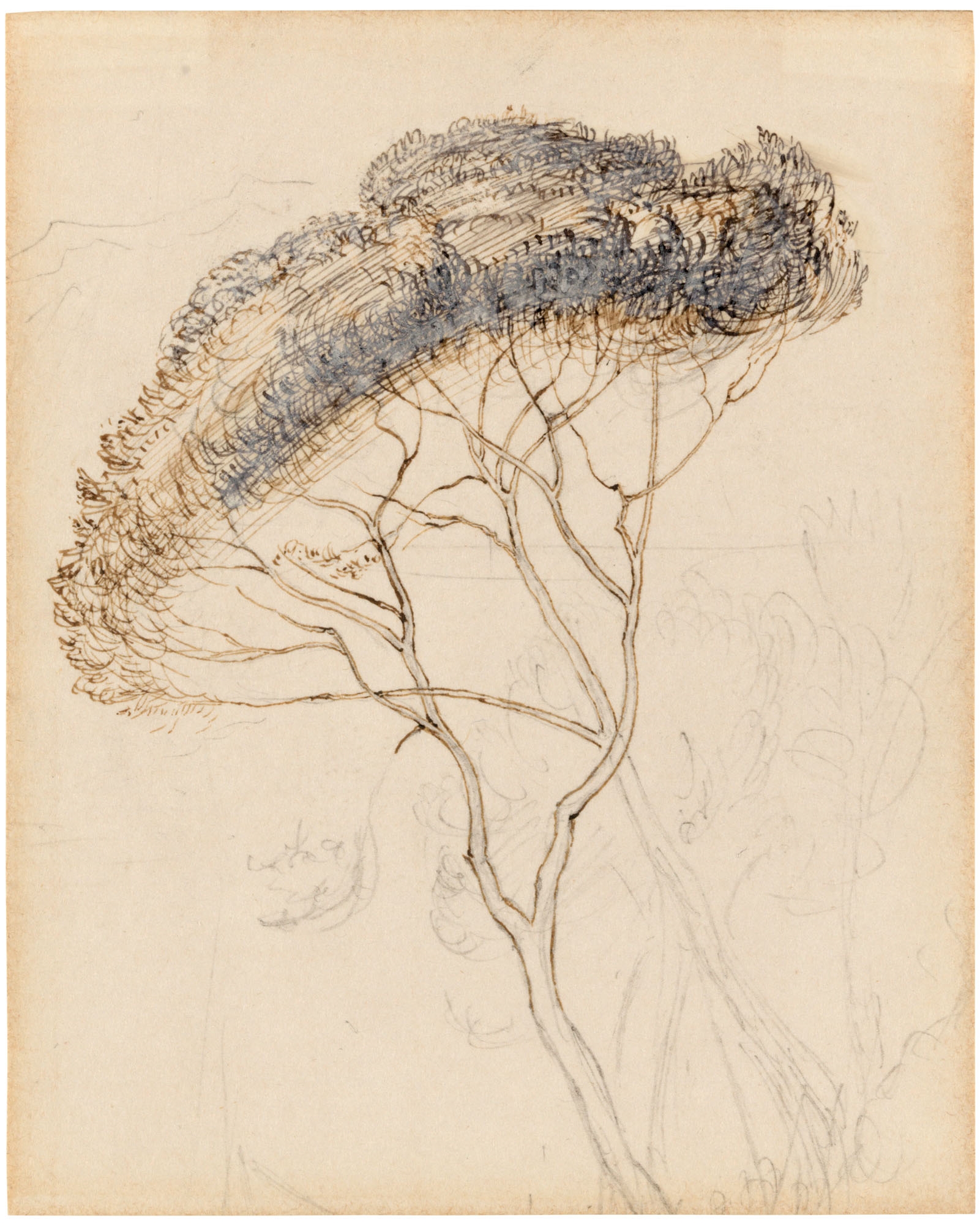 John Ruskin | Nine studies for 'The Elements of Drawing' | MutualArt