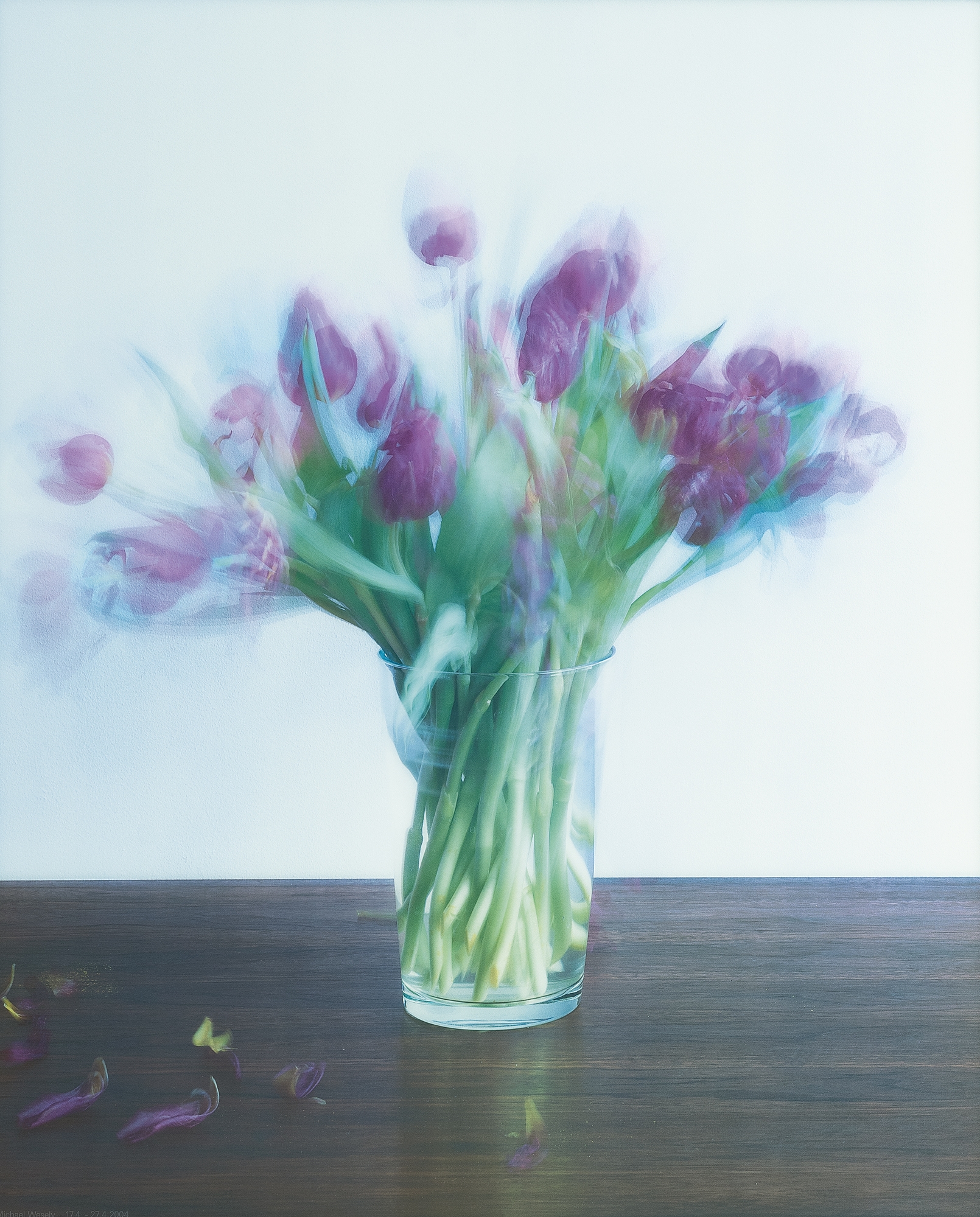 Michael Wesely | Tulips (2004) | MutualArt