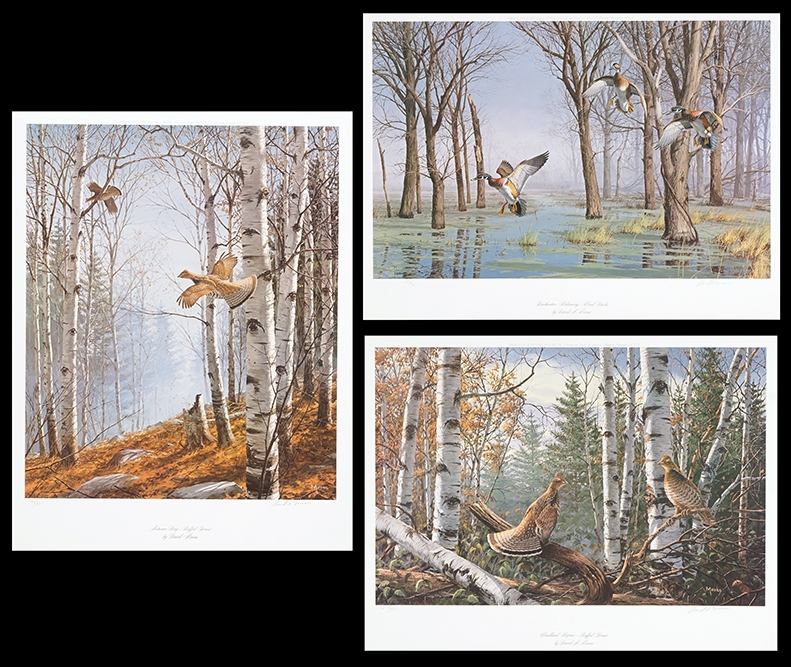 David Maass | Thirteen Wildlife Prints. (1970) | MutualArt