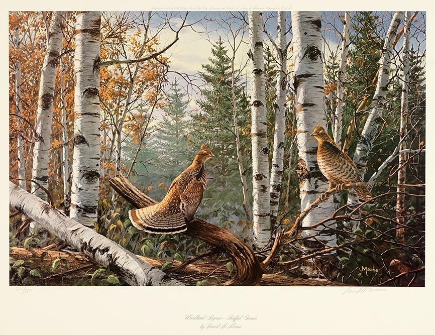 David Maass | Thirteen Wildlife Prints. (1970) | MutualArt