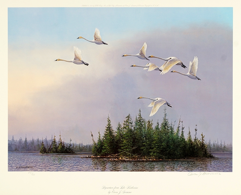 Owen J. Gromme | Forty-Five Wildlife Prints. (1970) | MutualArt