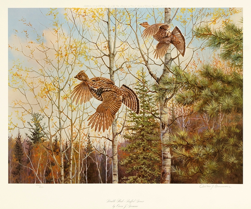 Owen J. Gromme | Forty-Five Wildlife Prints. (1970) | MutualArt