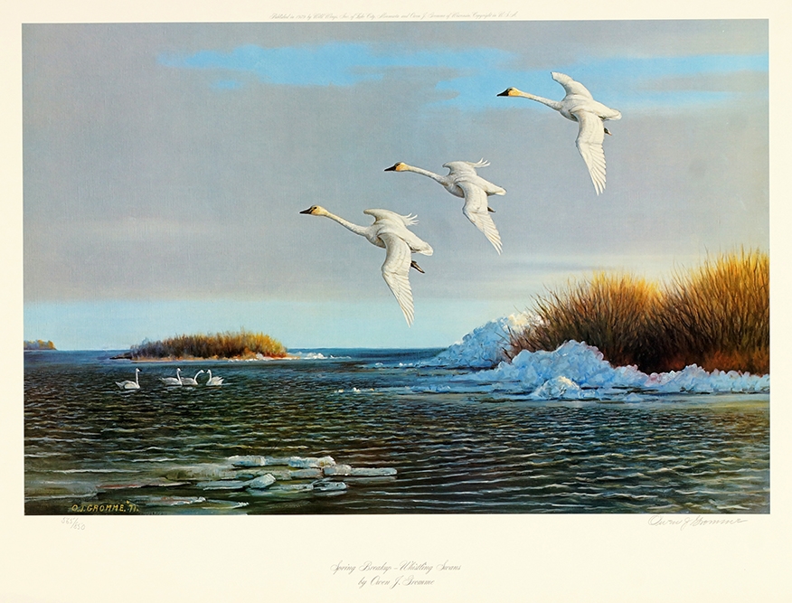 Owen J. Gromme | Forty-Five Wildlife Prints. (1970) | MutualArt