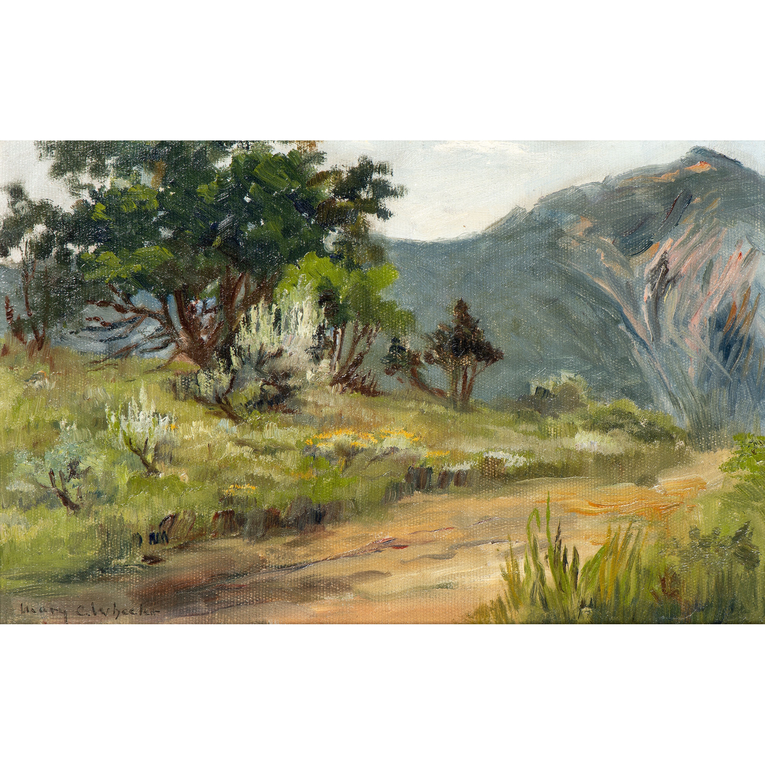 Mary C. Wheeler | Mountain Landscape | MutualArt