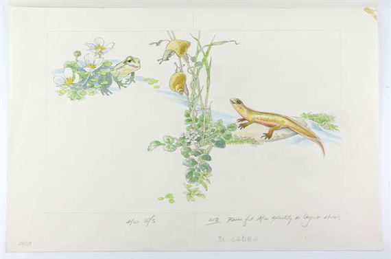 Barbara Firth | 184 Artworks at Auction | MutualArt