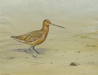 David Morrison Reid Henry | Kingfisher | MutualArt