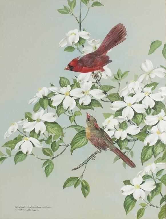 Basil Ede | Common Sheldrake | MutualArt