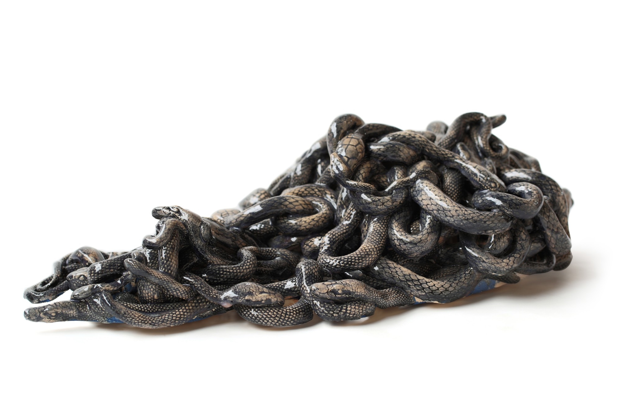 Carolein Smit | MEDUSA | MutualArt