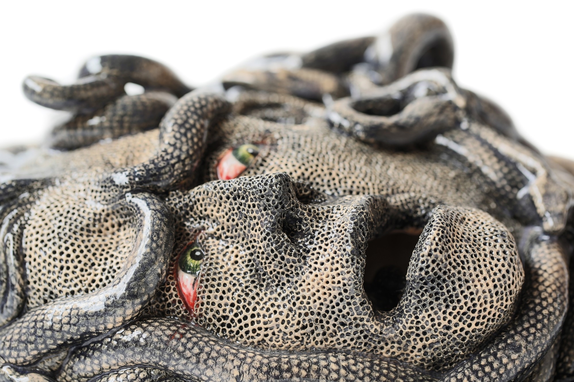 Carolein Smit | MEDUSA | MutualArt