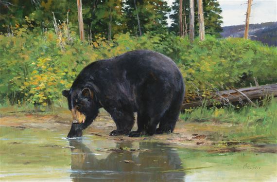 Ken Carlson | Always Curious | MutualArt
