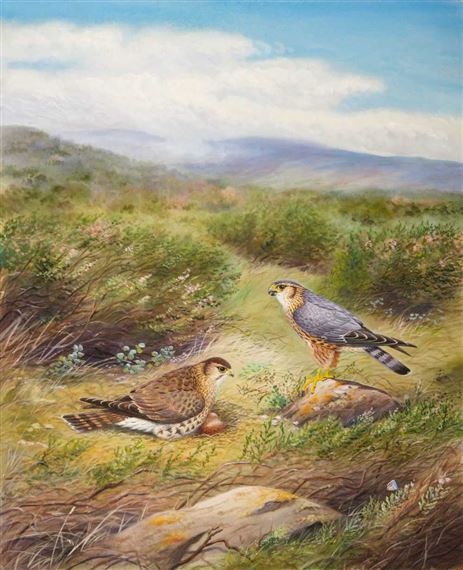 Richard Robjent | Pair of Merlins at their Nest (1982) | MutualArt