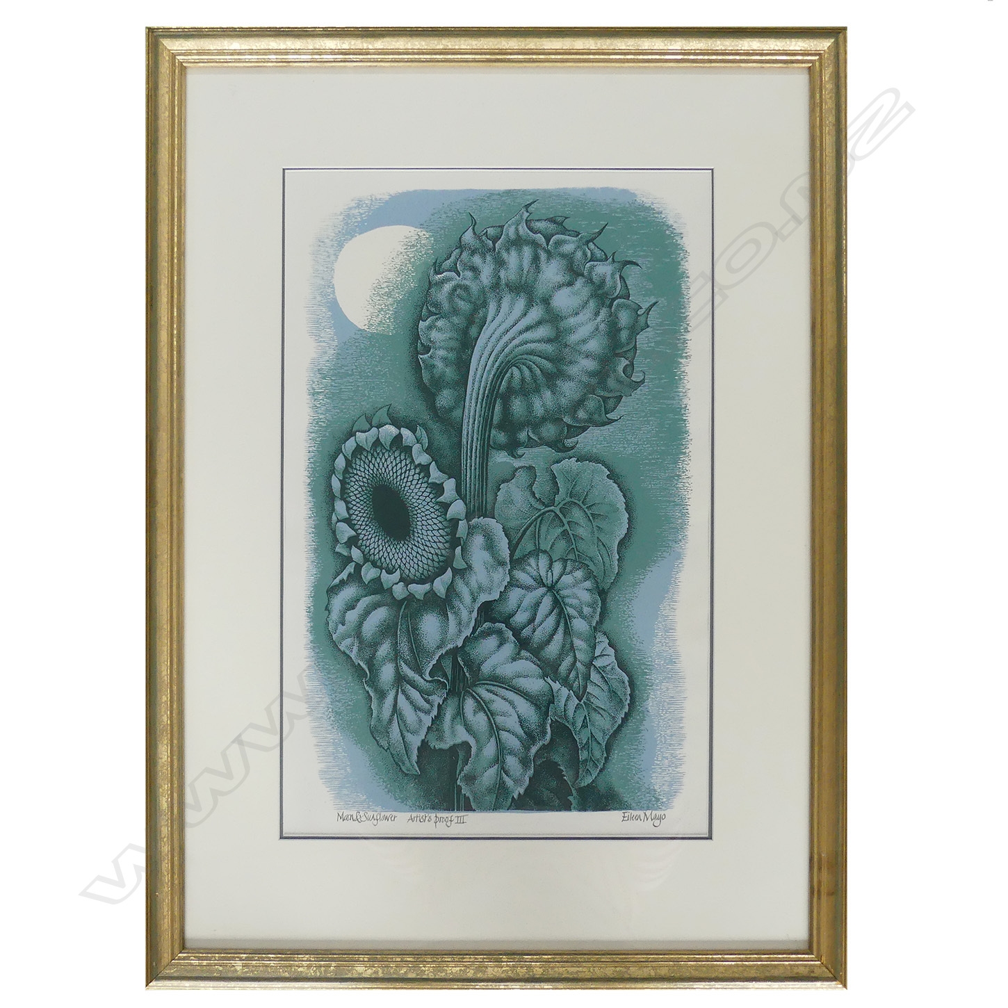 Eileen Mayo | Lunaria | MutualArt