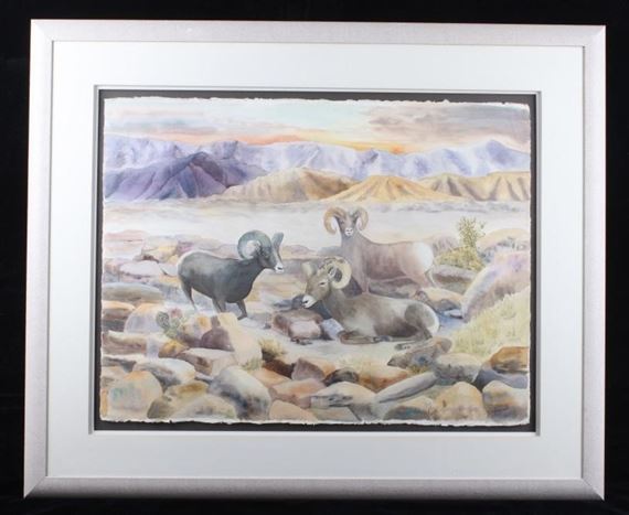 Mary Baumgartner | Bighorn Sheep | MutualArt