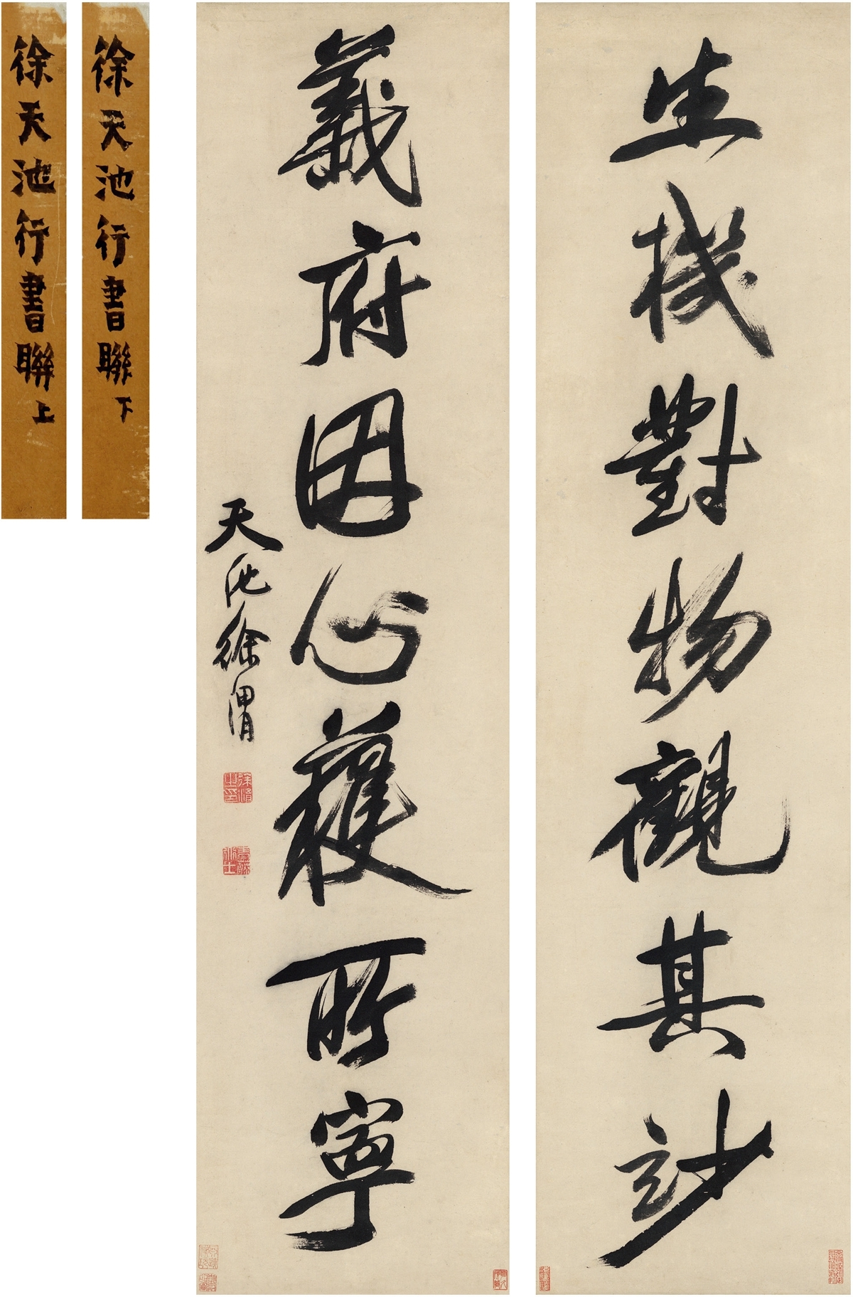 Xu Wei | GRAPE | MutualArt