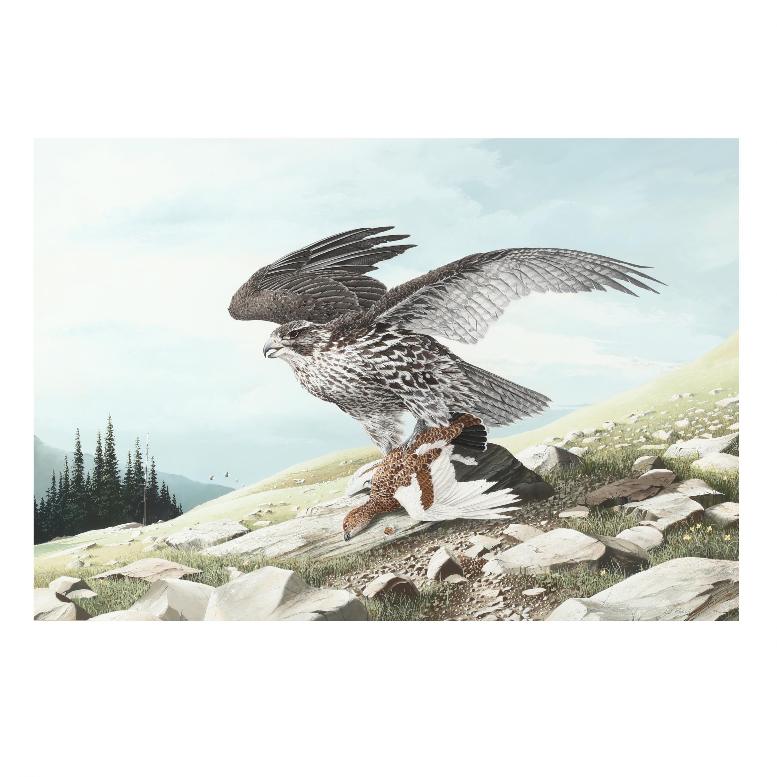 Anthony J. Rudisill | Arctic Gyrfalcon | MutualArt