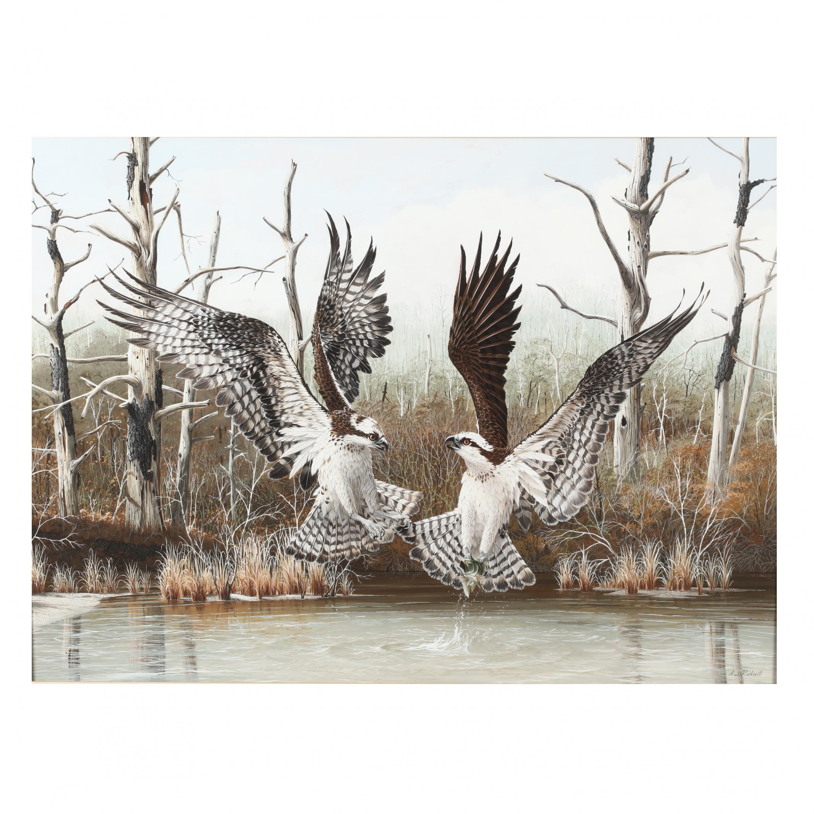 Anthony J. Rudisill | Two Birds Competing for a Fish (1978) | MutualArt