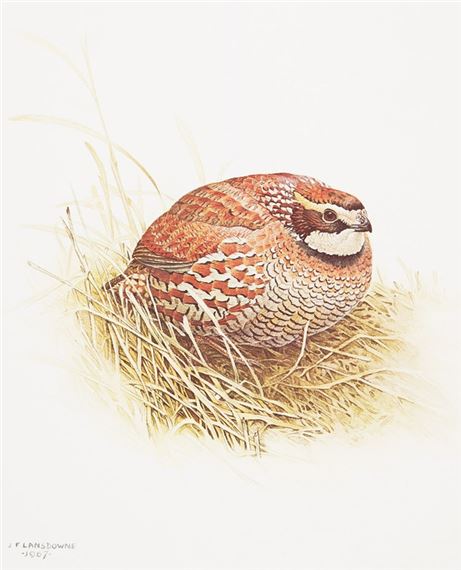 James Fenwick Lansdowne | Three Bird Studies | MutualArt