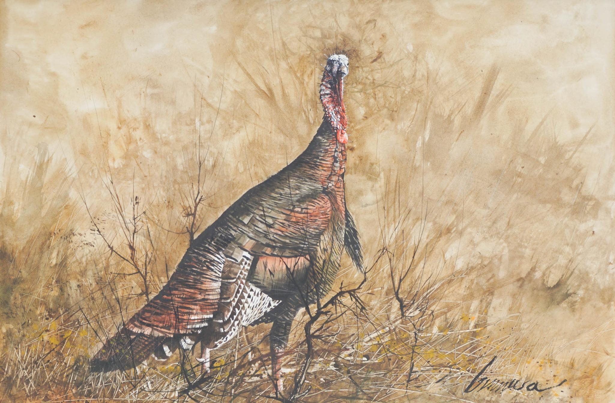 Ragan Gennusa | Rio Grande Wild Turkey (Circa 1984) | MutualArt