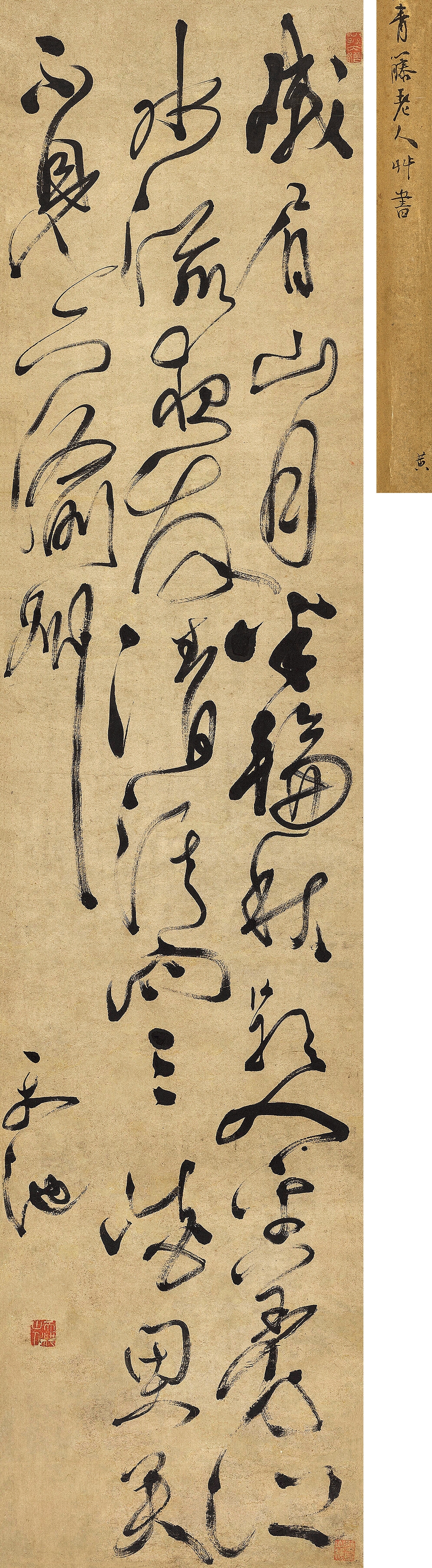Wei Xu | Calligraphy in Cursive Script | MutualArt