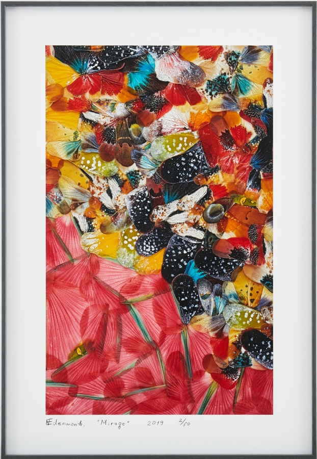 Nathalia Edenmont | Mirage (2019) | MutualArt